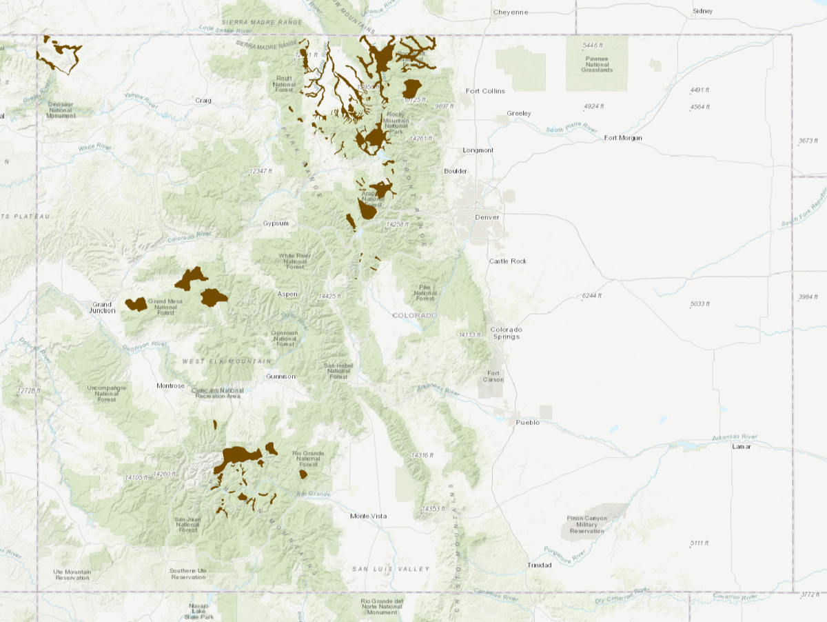 Are There Moose in Colorado? Where to See Colorado’s Moose Population ...
